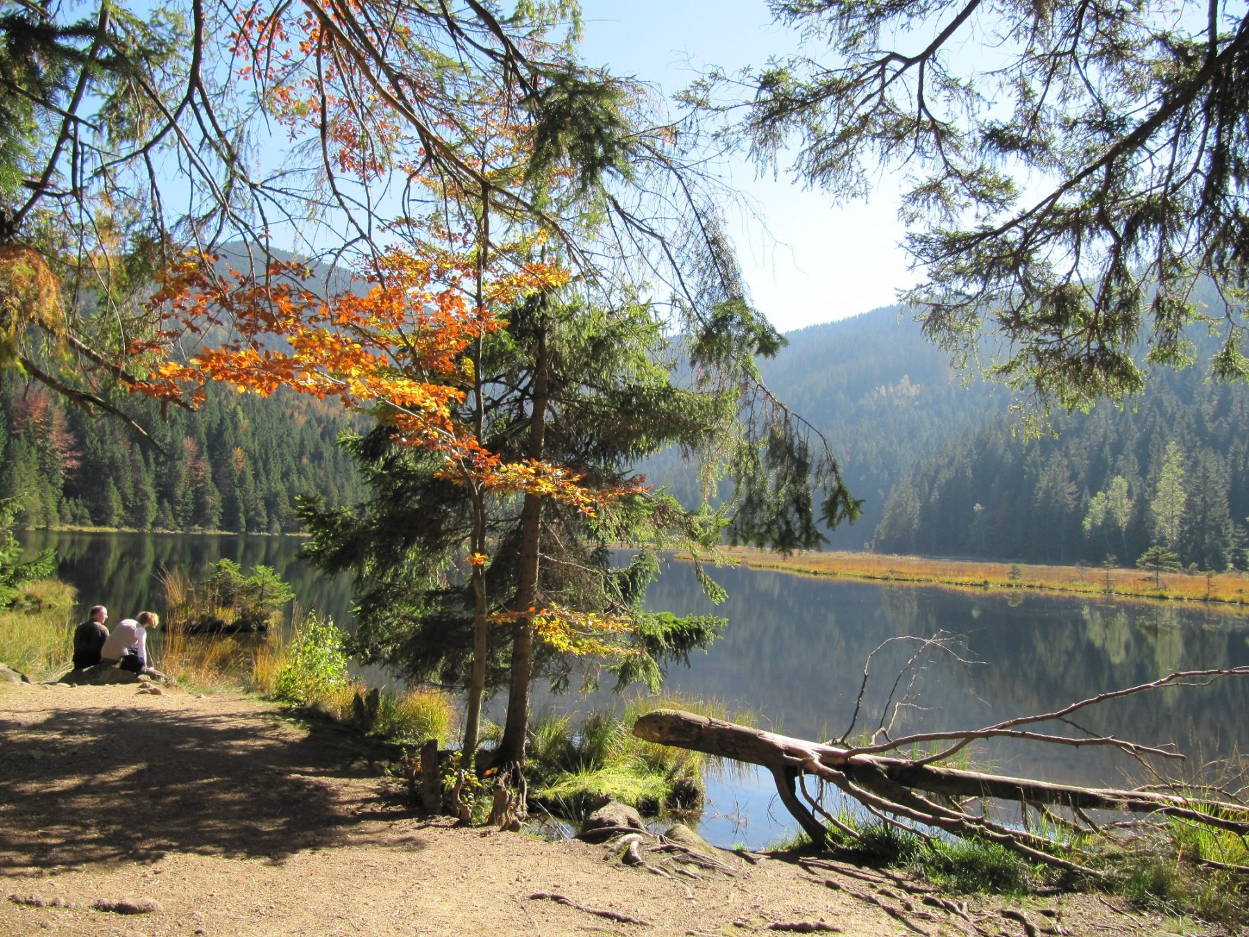 Kleiner Arbersee Bahn